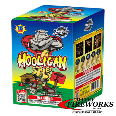 Hooligan from Miracle - Davey Fireworks